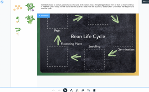 Impactful 5E lesson plan examples in action - Nearpod Blog