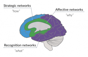 A Guide to Universal Design for Learning (UDL) with Examples